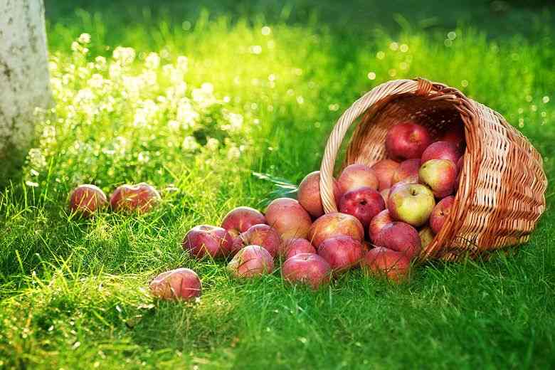 Login - Kepro Wellness